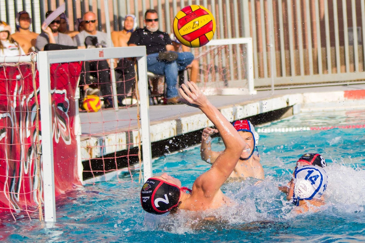 Fotos: El equipo universitario de waterpolo Wildcat aplasta a Beaumont ...